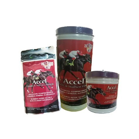 Accel Crumble - Progressive Poultry